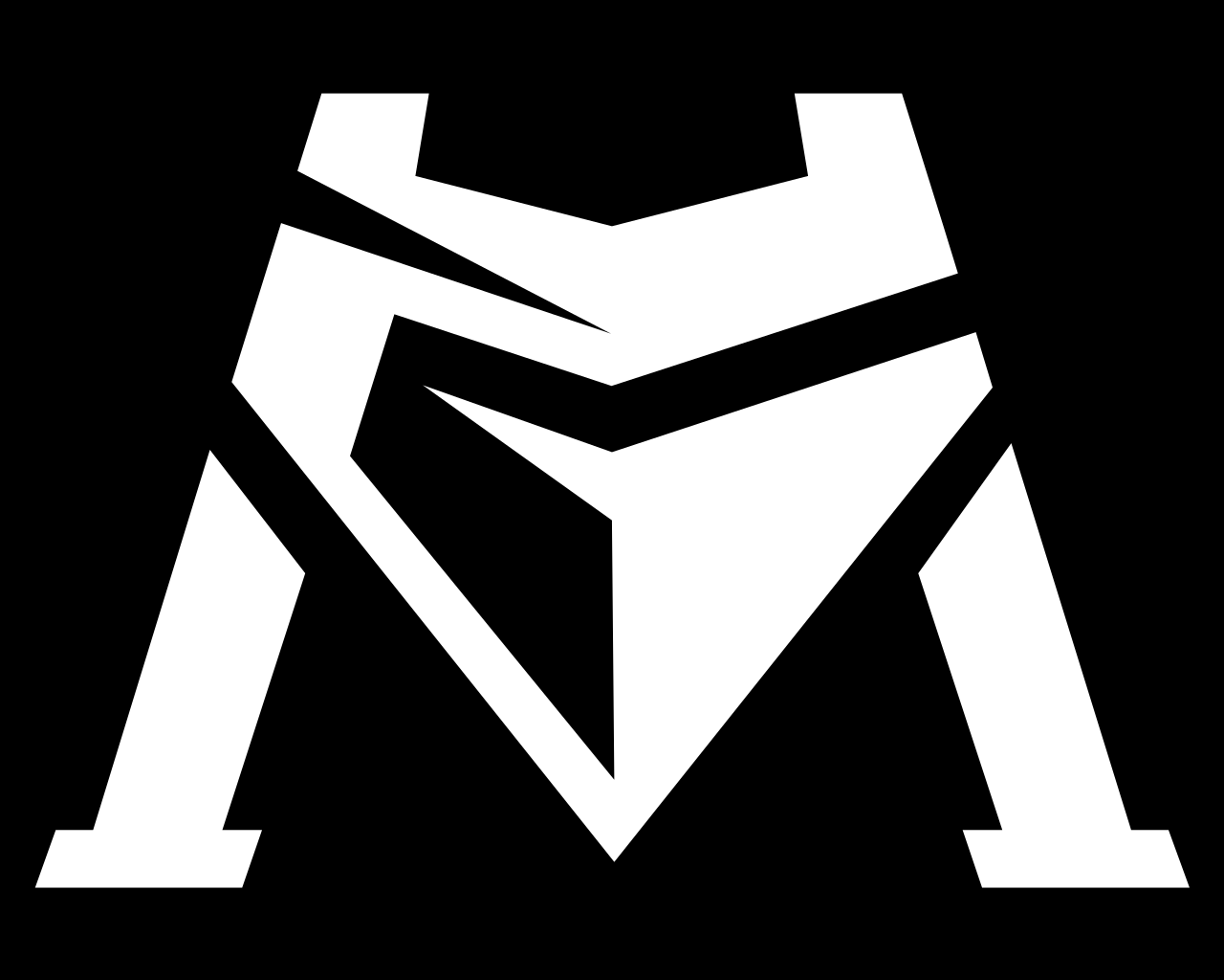 MaxSecurity – Fii în siguranță cu MaxSecurity